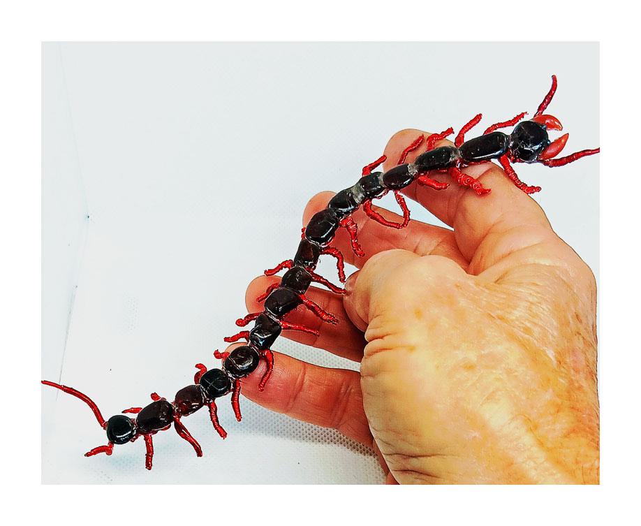 Giant Red Centipede Model - Etsy