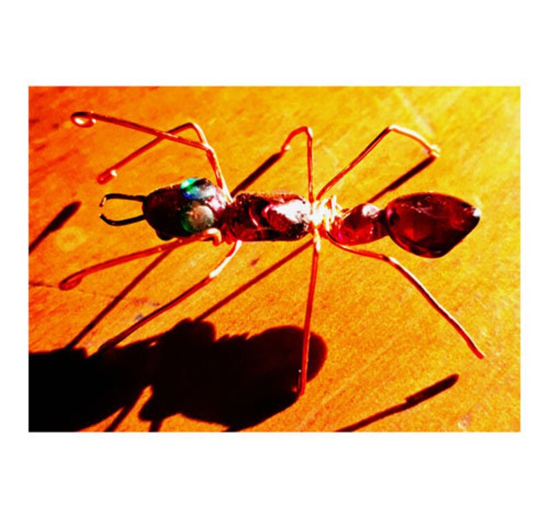 Red/pink Garnet Ant Models - Etsy