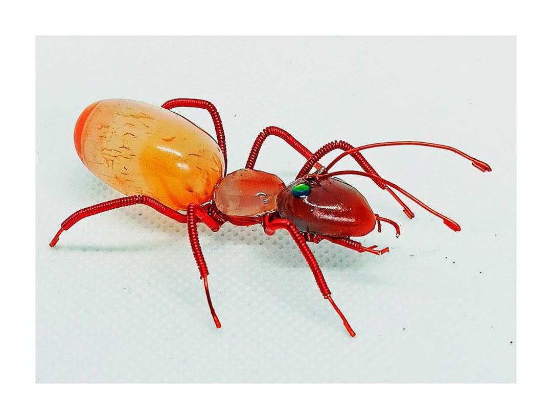 Golden Honeypot Agate Ants Models - Etsy