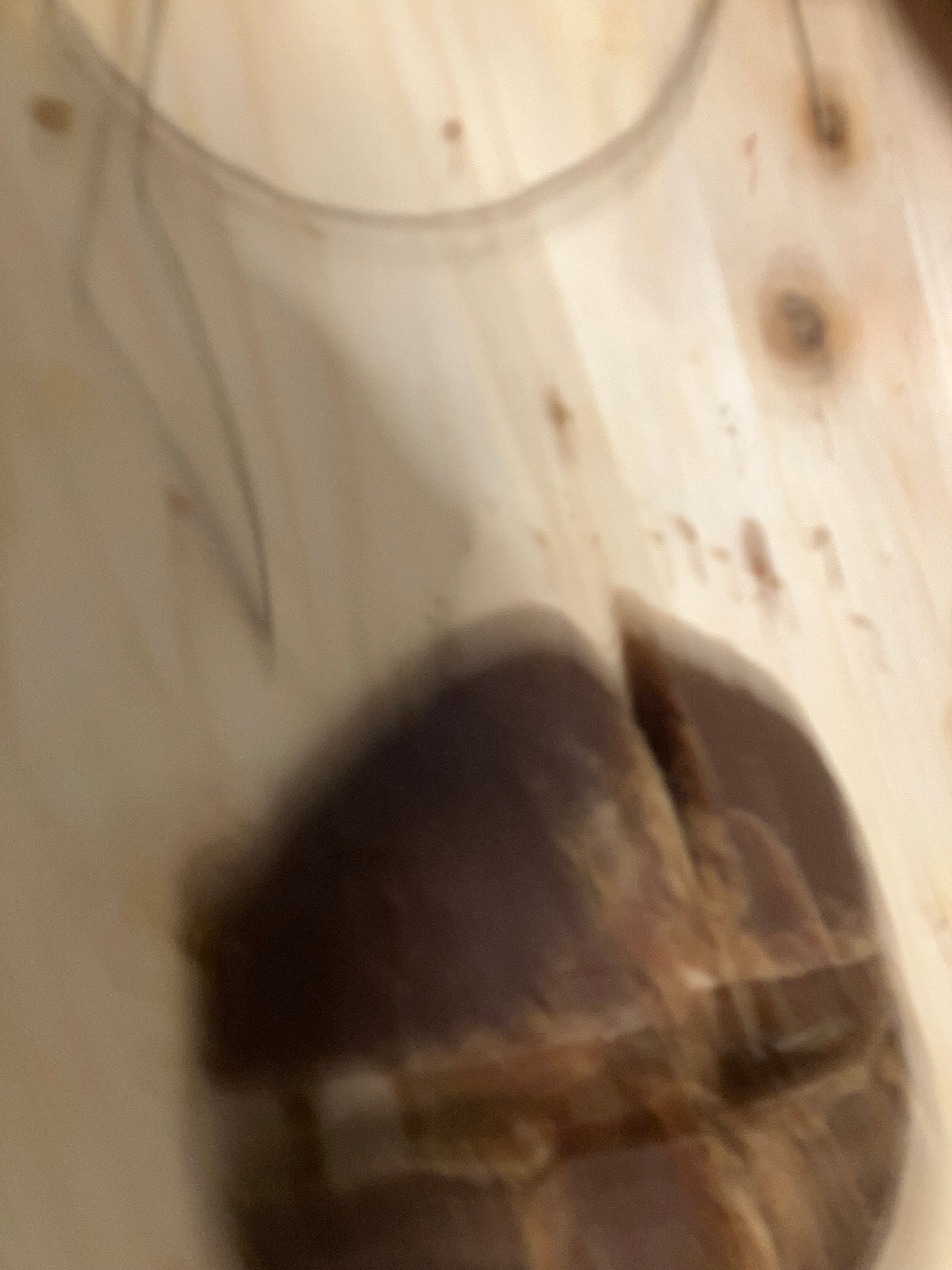 Ceylon PALM JAGGERY kithul Hakuru Made With Pure Kithul Treacle /sugar ...