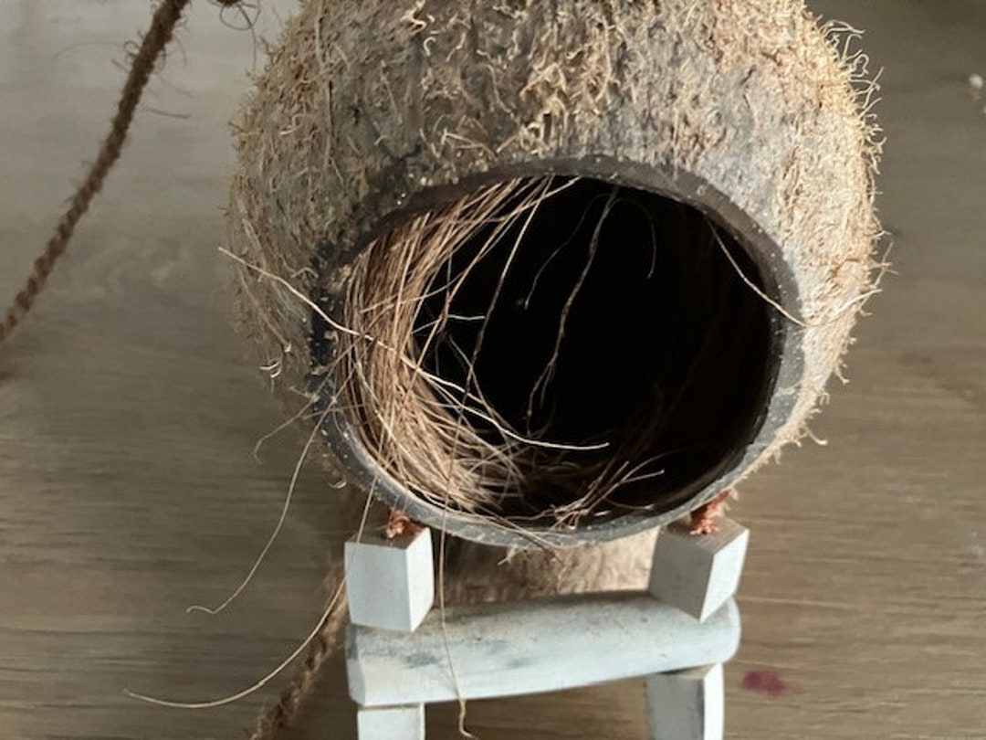 Natural Coconut Shell Pet Hideaway: Eco-friendly Shelter for Happy Pets, Bird Feeder, Garden ...