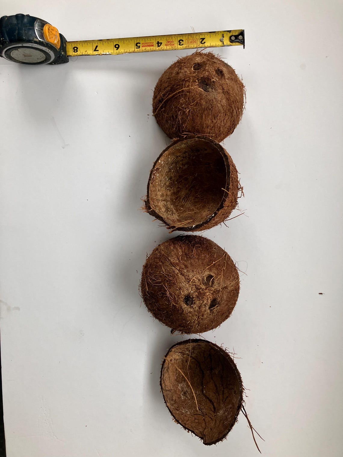 Coconut Shell Half ,natural With Fiber, for Handicrafts ,tropical ...