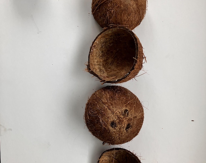 Coconut Shell Half ,natural With Fiber, for Handicrafts ,tropical ...
