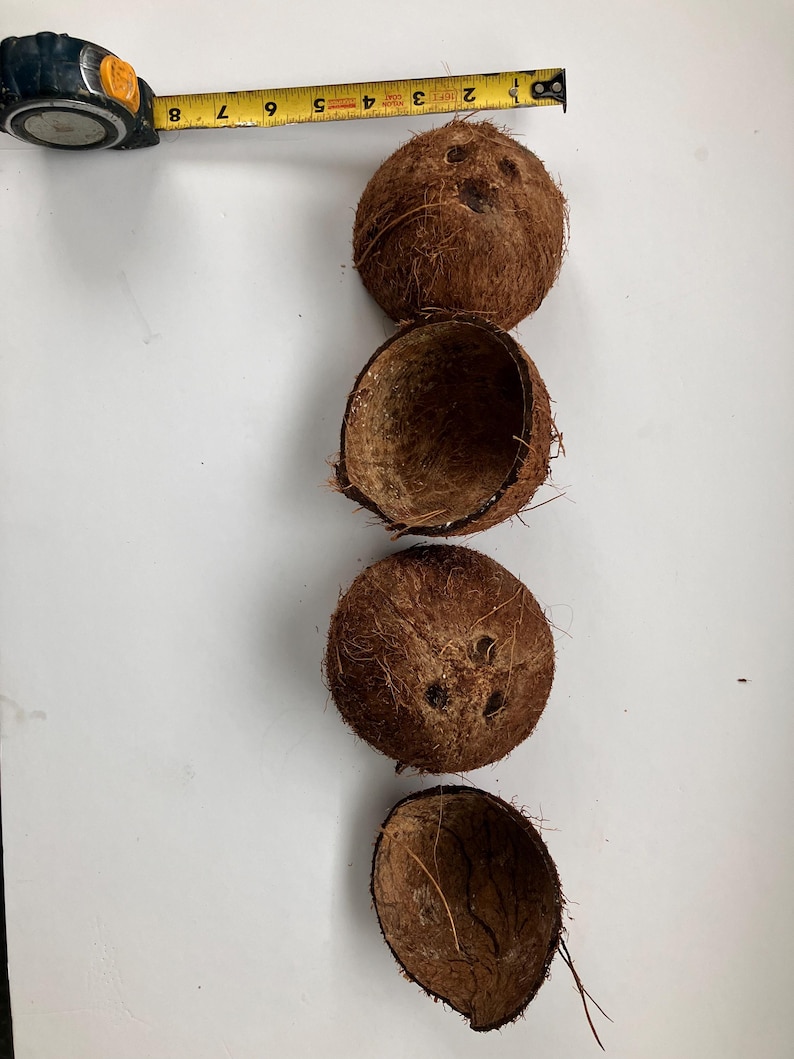 Coconut Shell Halves (4 Pack) for Resin Art, Boho Decor, Bowl Making ...