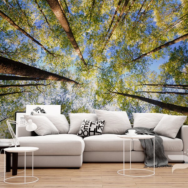 Ceiling Mural - Etsy