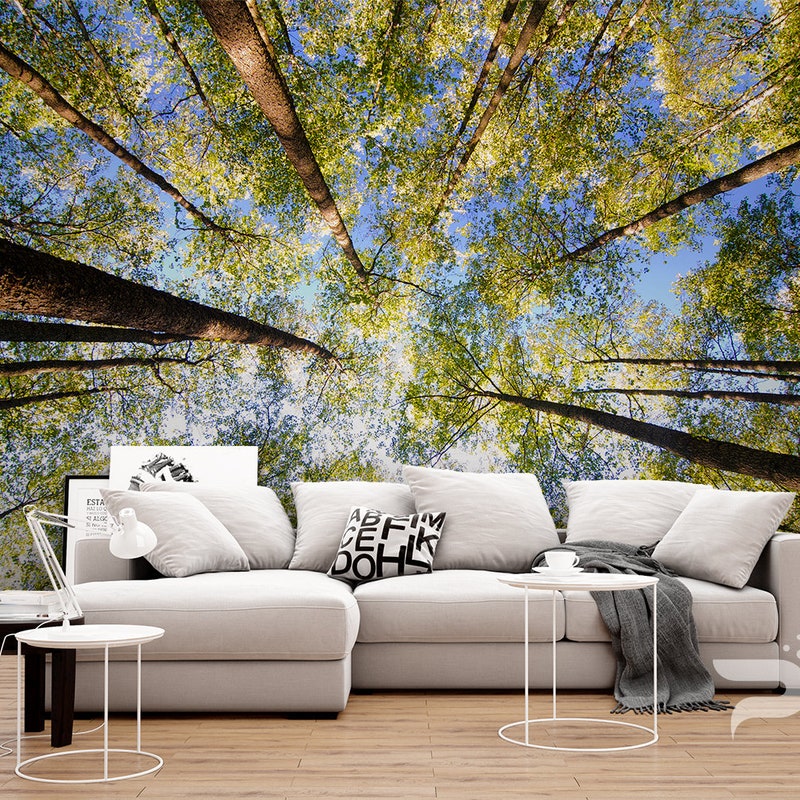 Ceiling Mural - Etsy