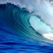 The Perfect Wave MURAL Ocean Wallpaper Large Wall Mural - Etsy