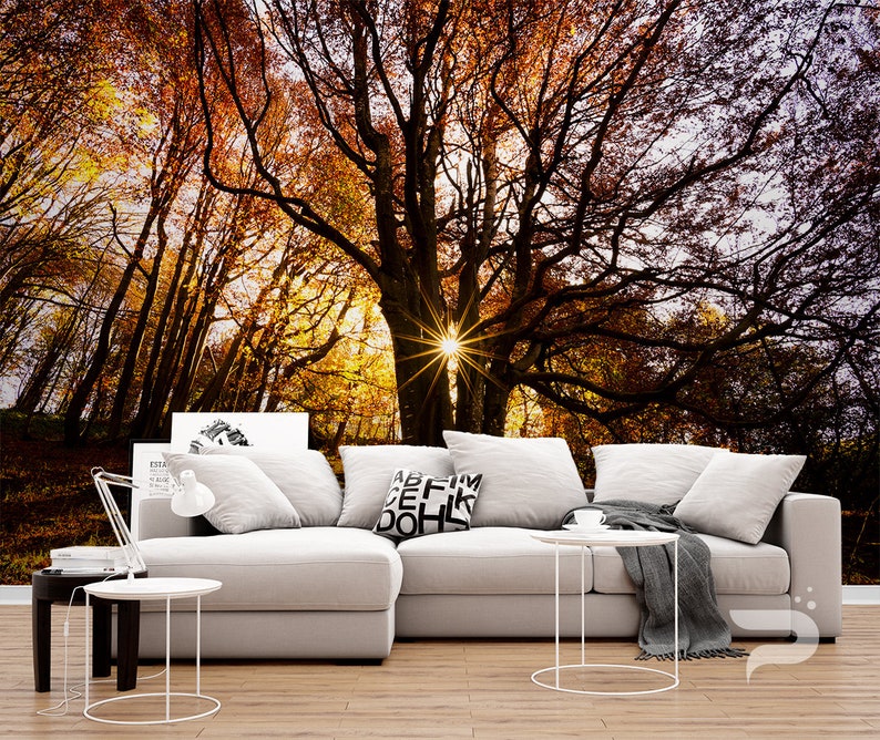 Autumn Memories WALL MURAL Autumn Forest Wallpaper Mural | Etsy