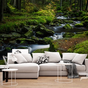 Forest Stream MURAL, Green Forest Wallpaper, Forest Brook Wall Mural ...