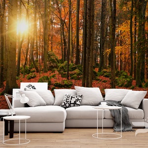 Autumn Forest Sunset WALL MURAL, Autumn Colors Wallpaper Mural, Large ...