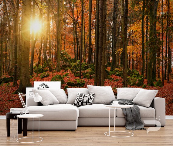 Autumn Forest Sunset WALL MURAL Autumn Colors Wallpaper - Etsy