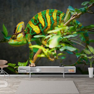 Chameleon WALL MURAL, Green Chameleon Wall Covering, Animal Wall Art ...