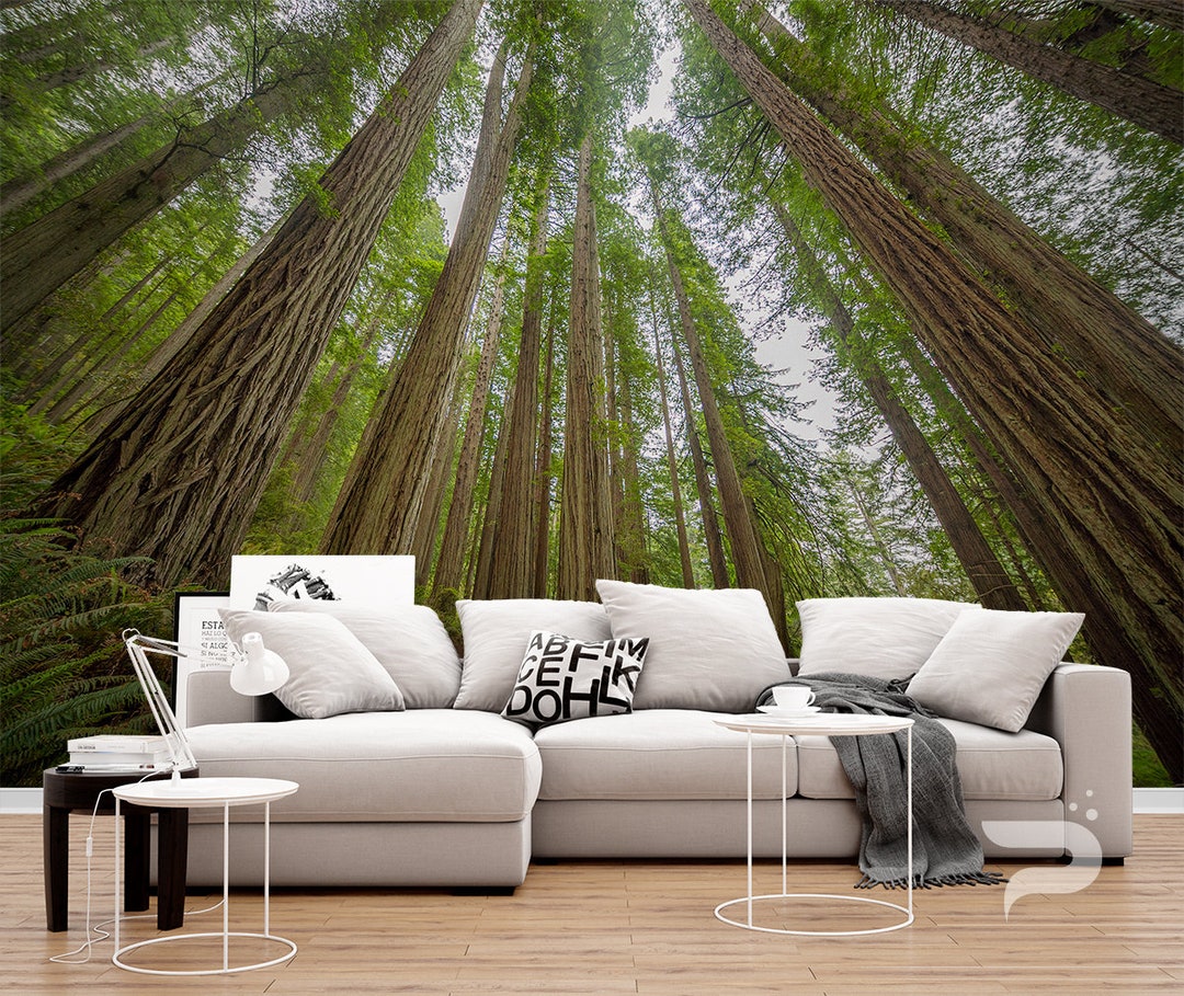Sequoia Forest MURAL, Giant Trees Wallpaper, Redwood Wall Mural, Large ...