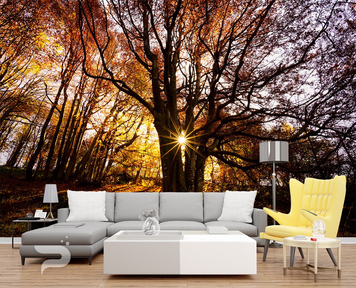 Autumn Memories WALL MURAL Autumn Forest Wallpaper Mural | Etsy
