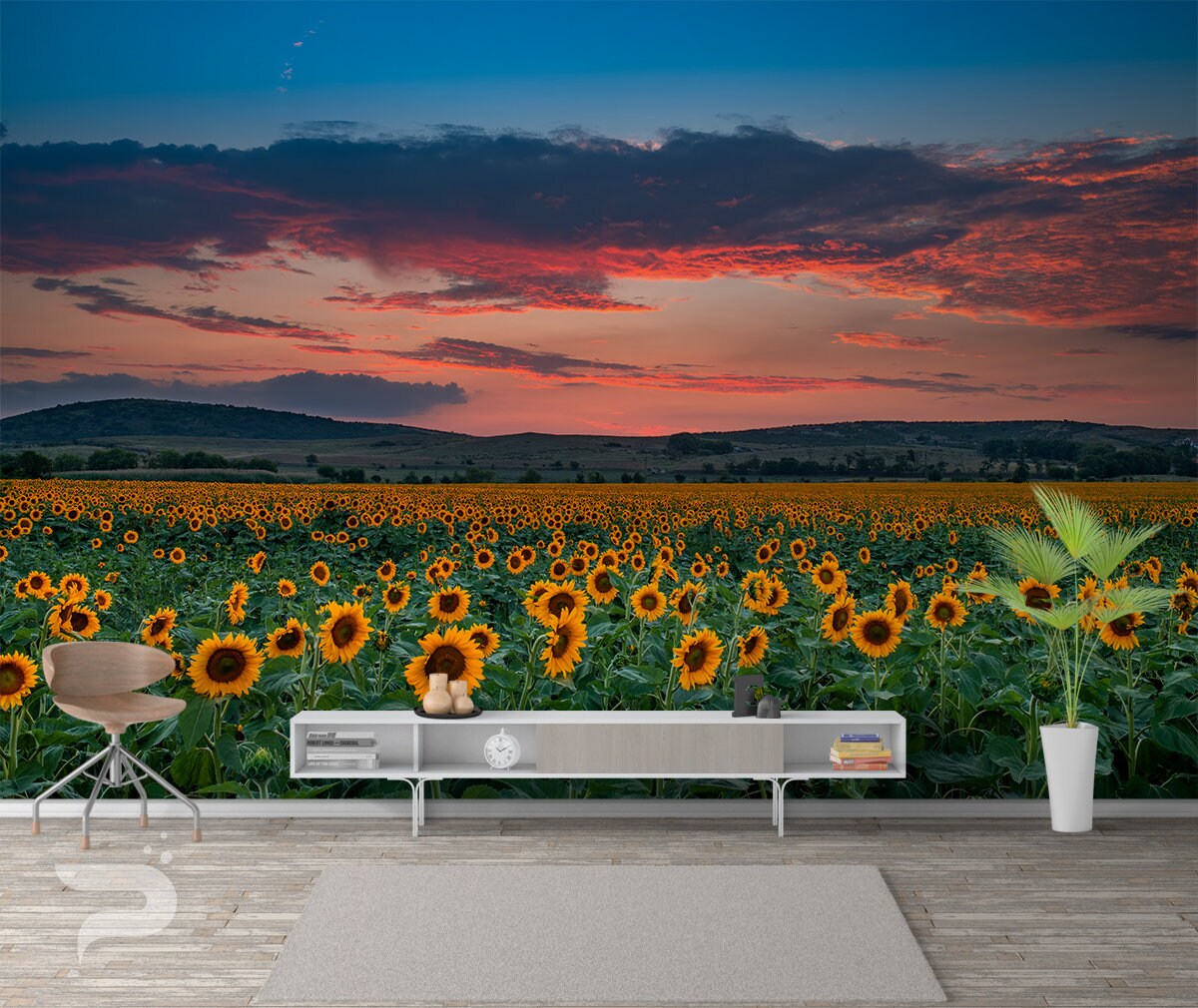 Sunflower Sunset WALL MURAL Sunflower Field Wallpaper Mural - Etsy