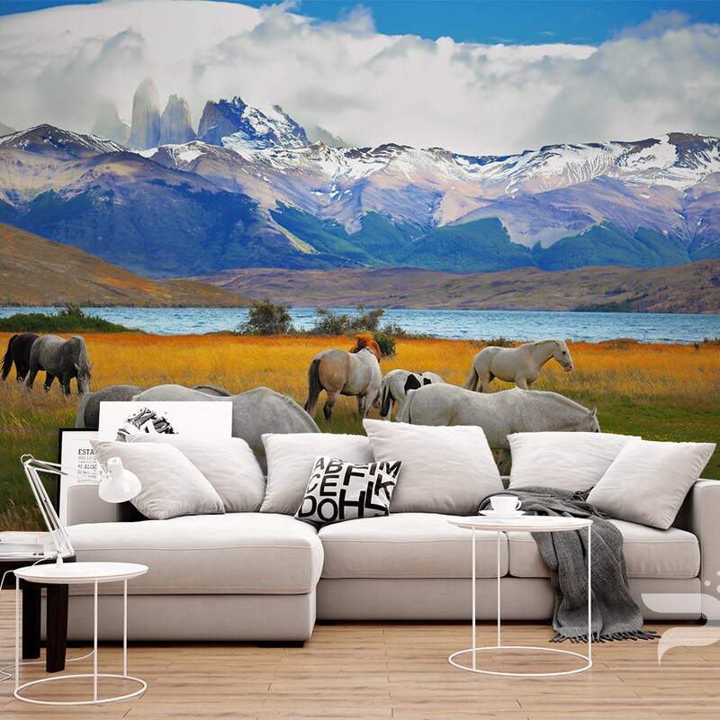 Horse Murals - Etsy