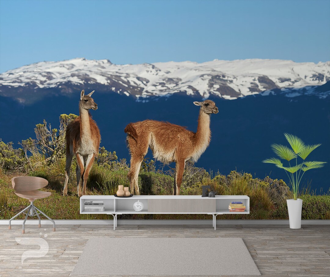 Chile Landscape MURAL, Andes Wallpaper, Vicugna Wall Mural, Large Mural ...