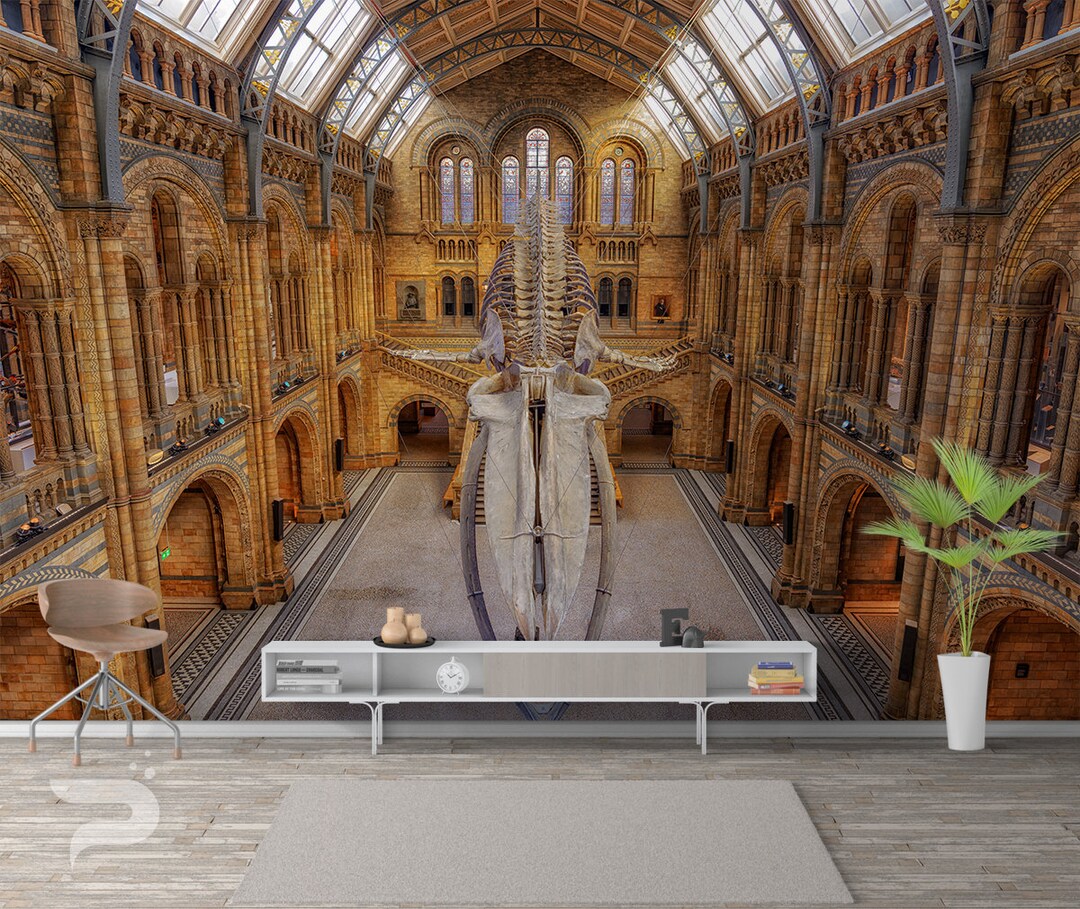 London Museum WALL MURAL, Ntural History Museum Wallpaper Mural, Large ...