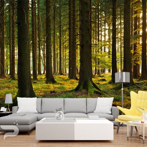 Autumn Forest WALL MURAL, Forest Wallpaper, Forest Morning Wall Mural ...