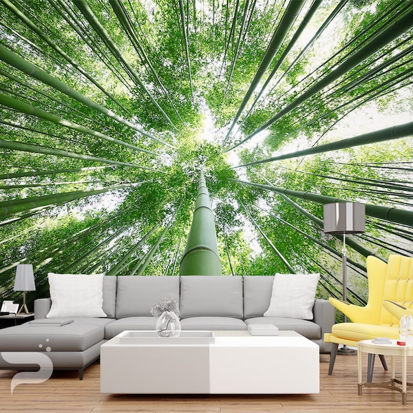 Wall Murals Bamboo Forest - Etsy