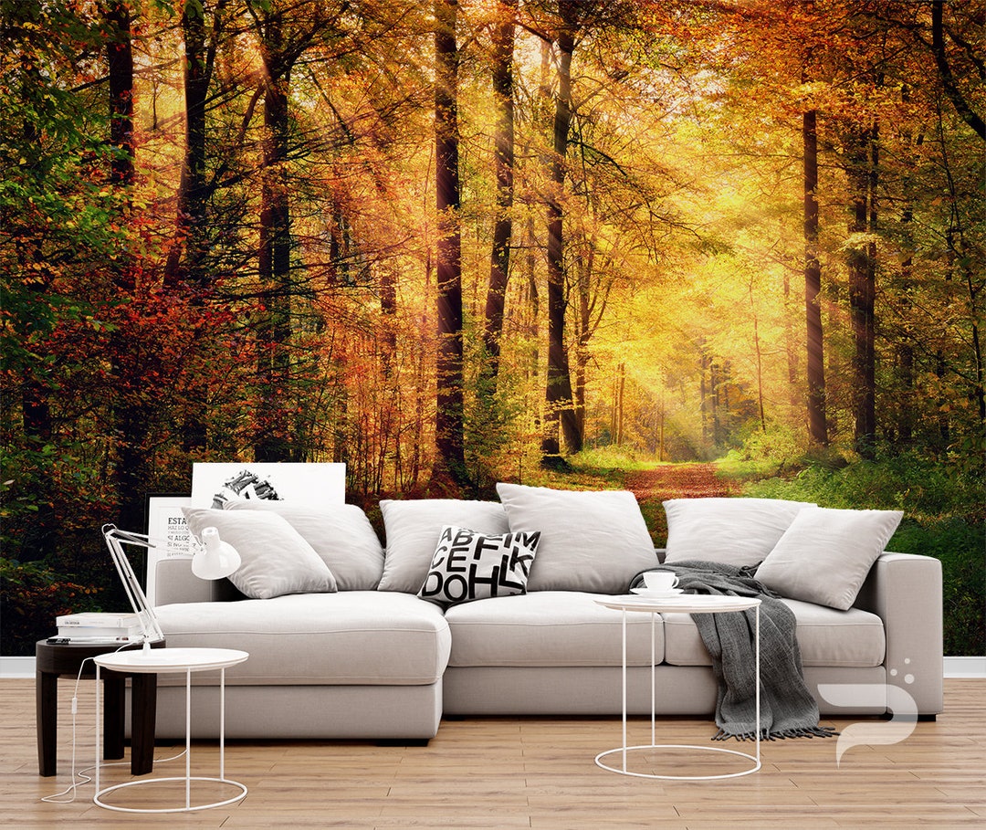 Autumn Sunrays WALL MURAL, Forest Wallpaper, Autumn Forest Path Wall ...