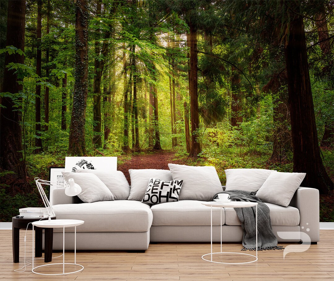 Forest Sunrays WALL MURAL, Forest Morning Wallpaper, Mountain Forest ...