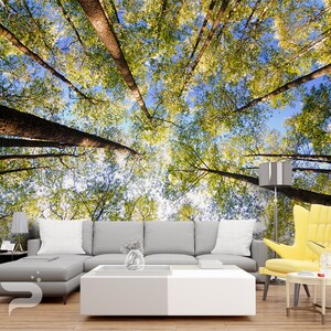 Forest Treetop WALL MURAL, Forest Wall Covering, Green Forest Trees ...