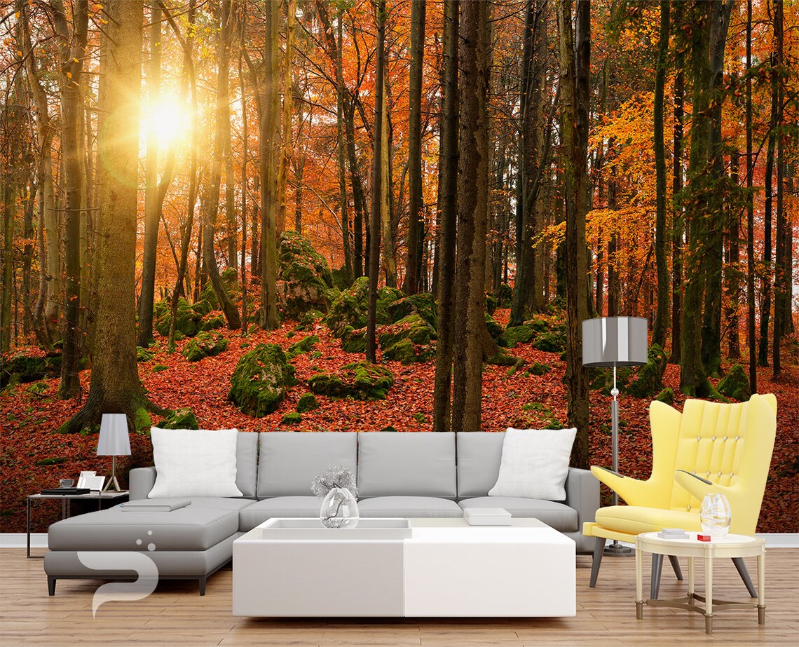 Autumn Forest Sunset WALL MURAL Autumn Colors Wallpaper | Etsy