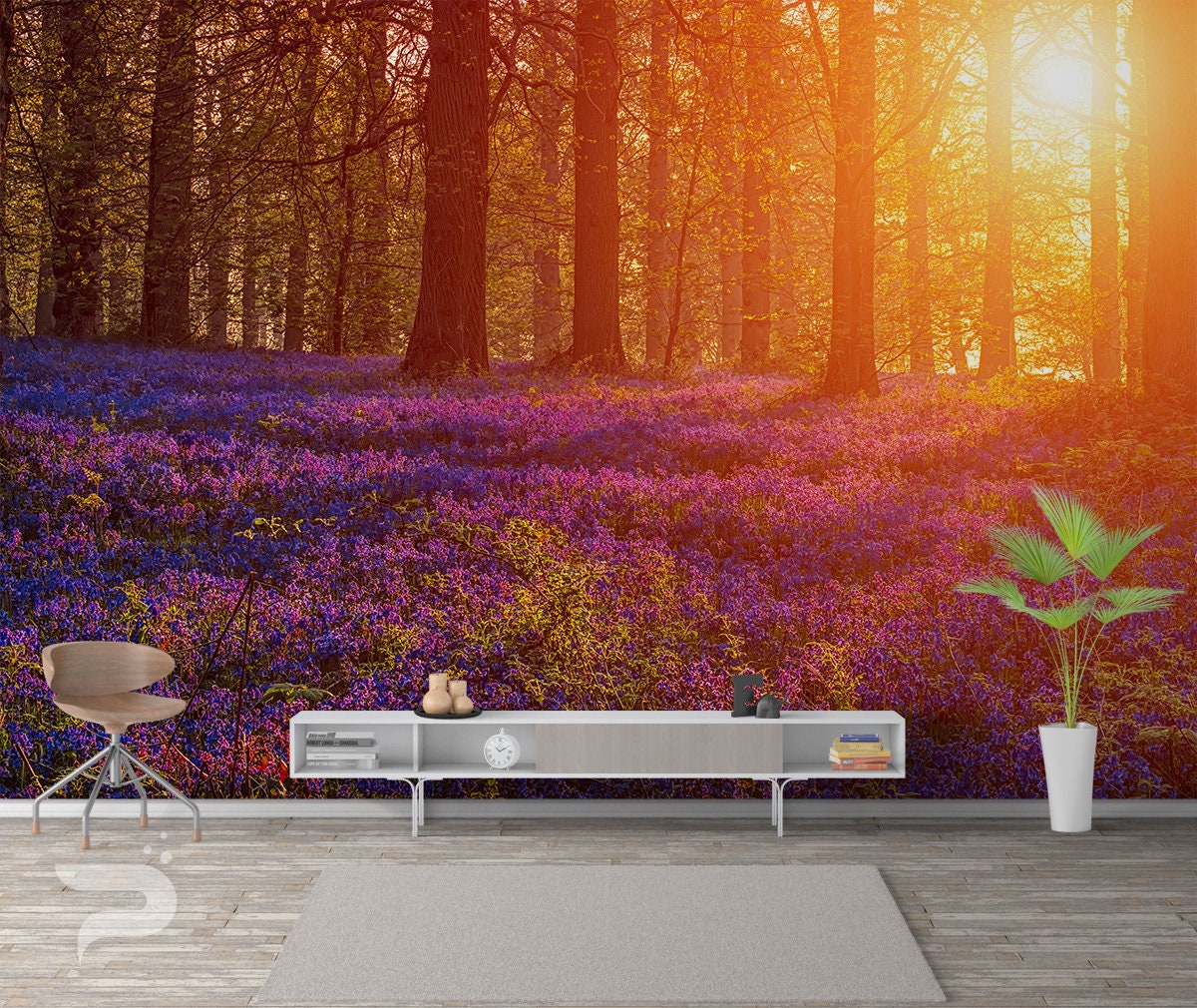 Forest Sunrise MURAL Spring Wallpaper Bluebell Forest Wall - Etsy