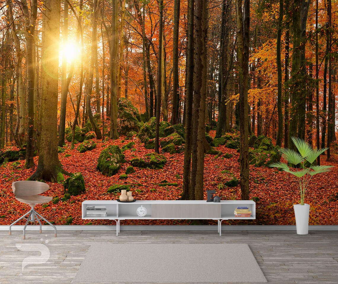 Autumn Forest Sunset WALL MURAL Autumn Colors Wallpaper | Etsy