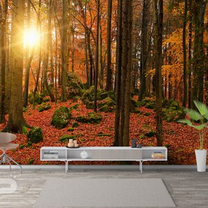 Autumn Forest Sunset WALL MURAL, Autumn Colors Wallpaper Mural, Large ...