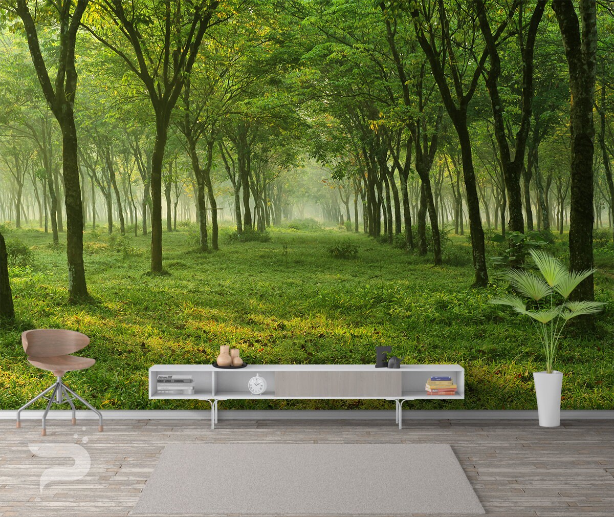 Morning Mist WALL MURAL Forest Wall Covering Spring Forest | Etsy