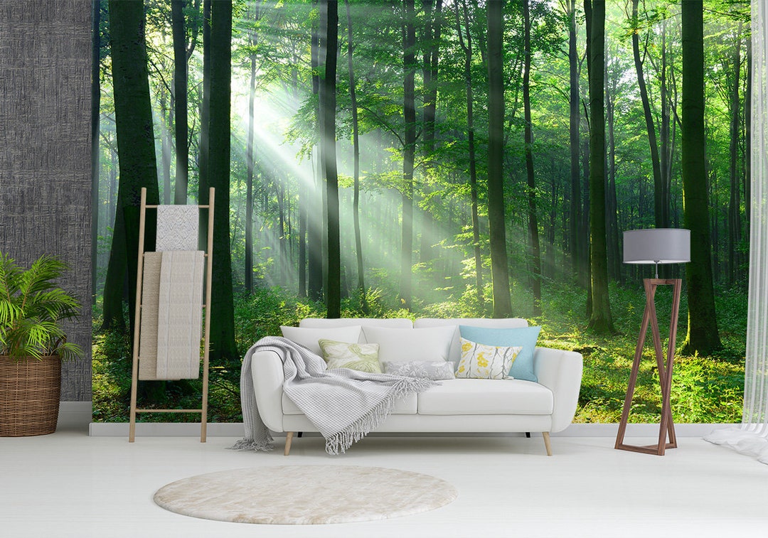 Forest Sunrays WALLPAPER MURAL, Mountain Forest Wall Mural, Large Wall ...