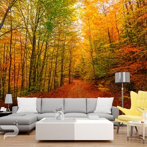 Autumn Forest Path WALL MURAL, Colorful Forest Wallpaper Mural, Large ...