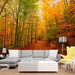 Autumn Forest Path WALL MURAL, Colorful Forest Wallpaper Mural, Large ...
