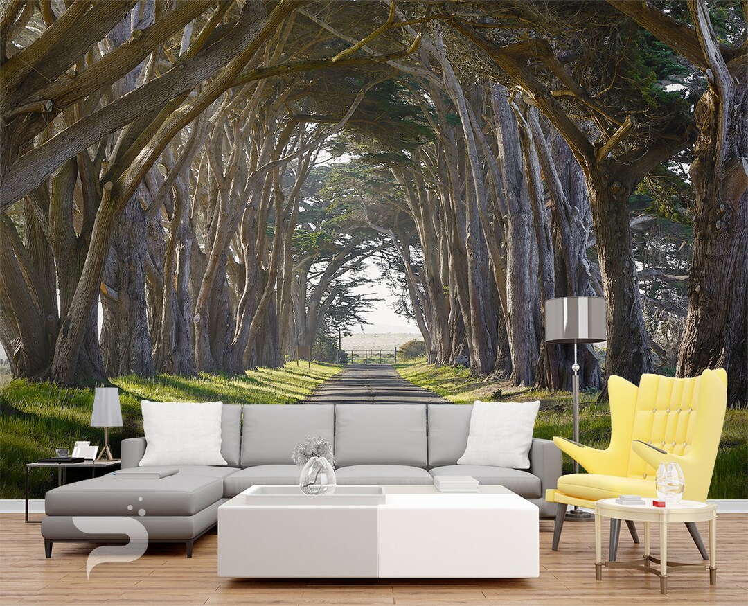Tree Tunnel WALL MURAL, Coastal Road Wall Covering, Green Road Trees ...