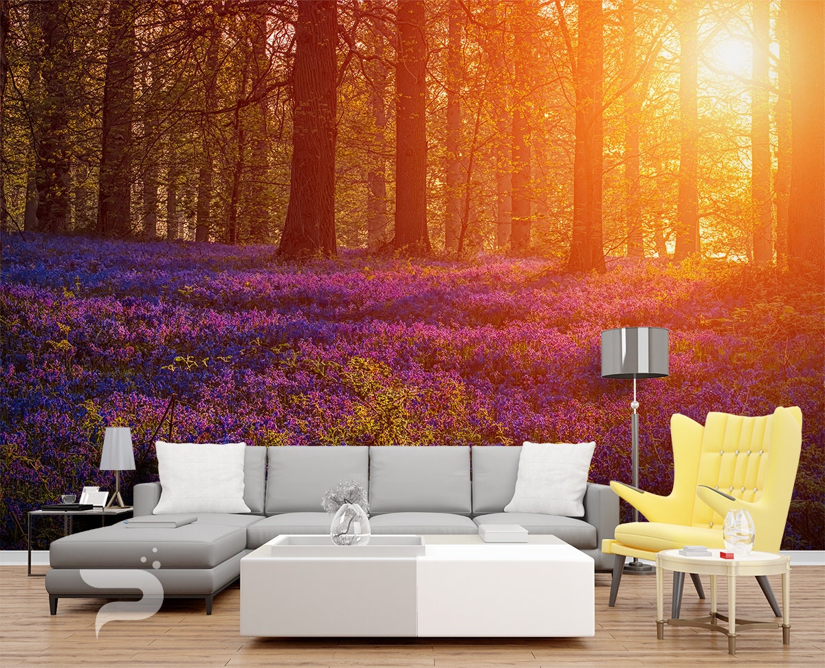 Forest Sunrise MURAL Spring Wallpaper Bluebell Forest Wall - Etsy