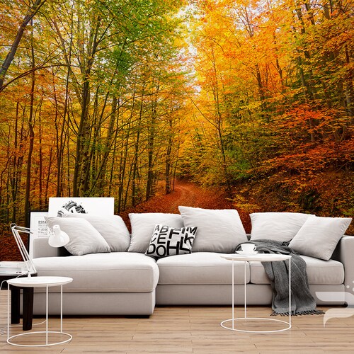 Autumn Forest MURAL Forest Wallpaper Large Wall Mural Self - Etsy