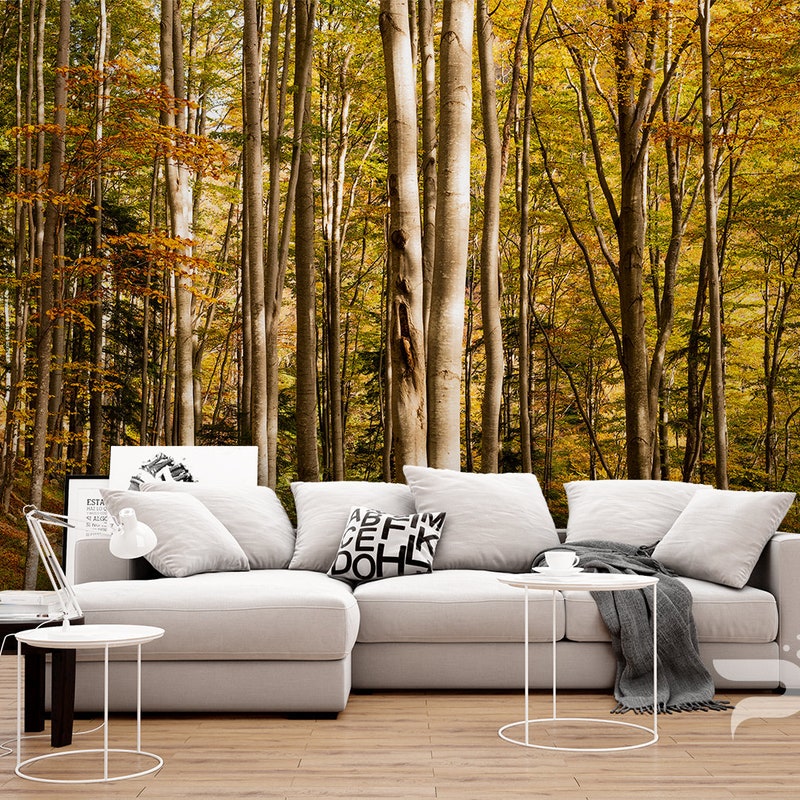 Forest Wall Mural - Etsy