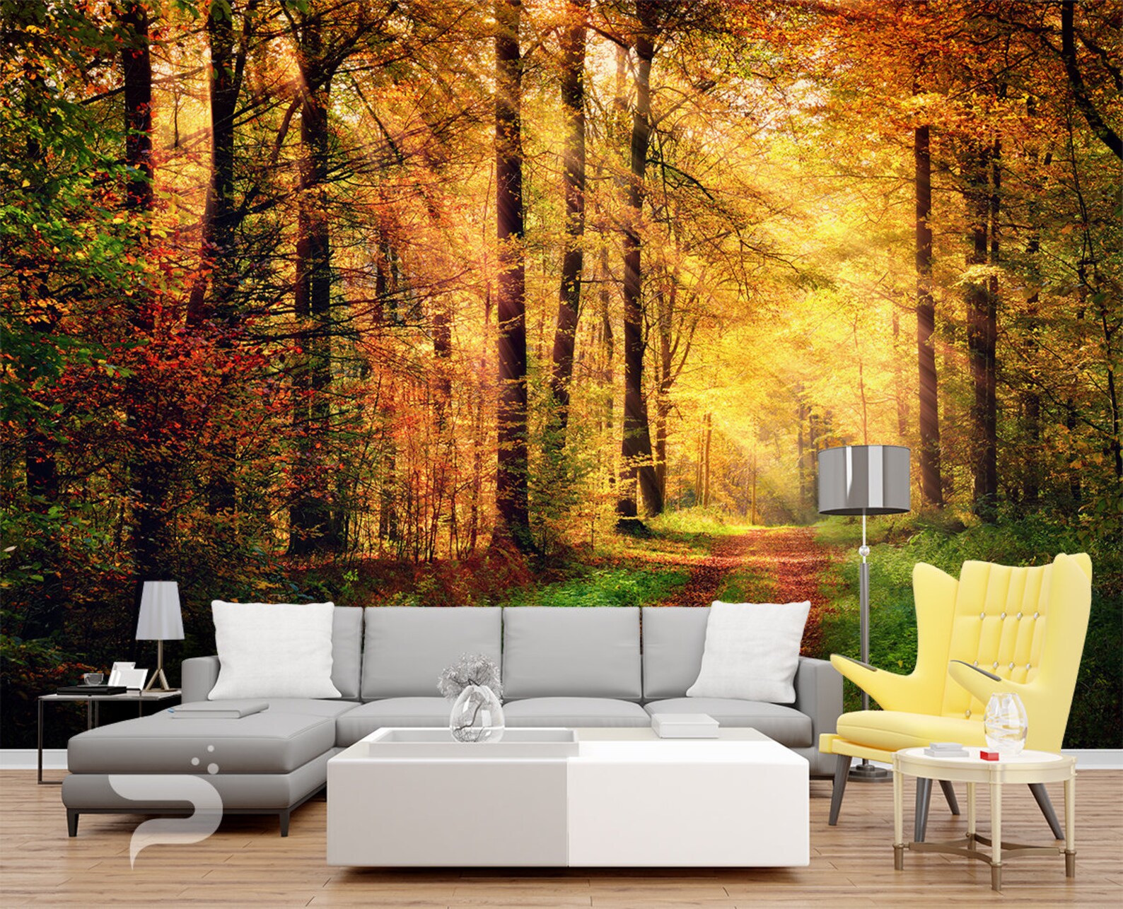 Autumn Sunrays WALL MURAL Forest Wallpaper Autumn Forest - Etsy