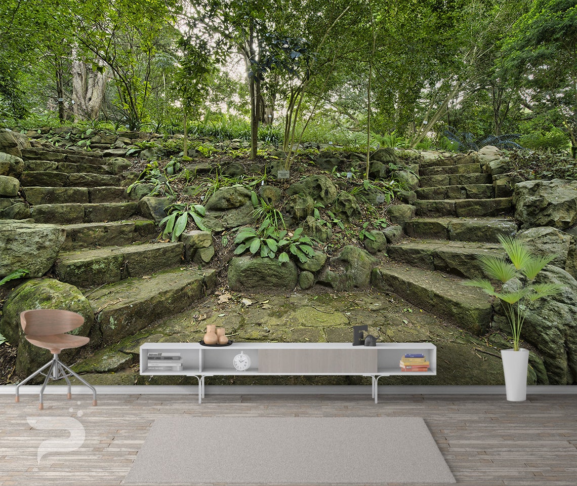 Stone Path WALL MURAL Forest Wall Covering Jungle Forest | Etsy