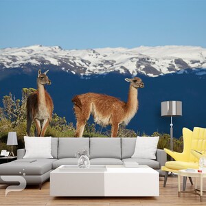 Chile Landscape MURAL, Andes Wallpaper, Vicugna Wall Mural, Large Mural ...