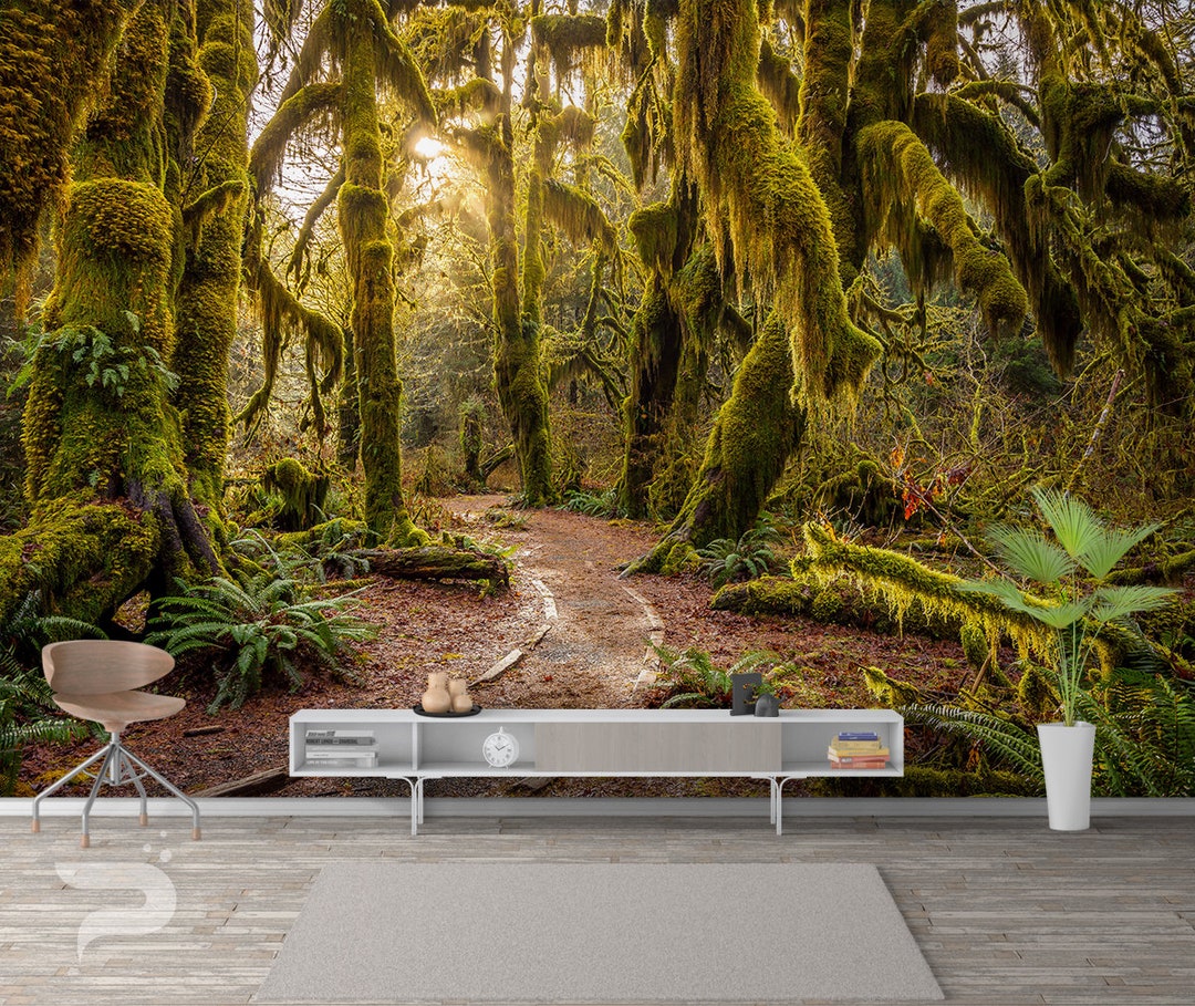 Forgotten Path WALL MURAL, Forest Wallpaper, Jungle Rainforest Wall ...