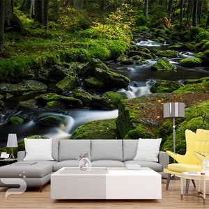 Forest Stream MURAL, Green Forest Wallpaper, Forest Brook Wall Mural ...