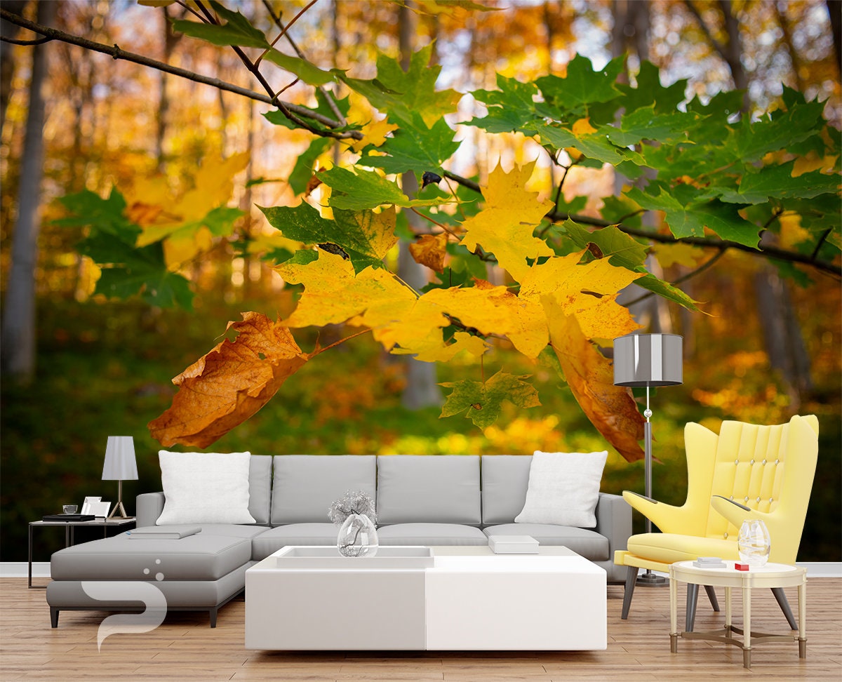 Autumn Dream WALL MURAL Autumn Forest Wallpaper Mural Large | Etsy