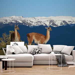 Chile Landscape MURAL, Andes Wallpaper, Vicugna Wall Mural, Large Mural ...
