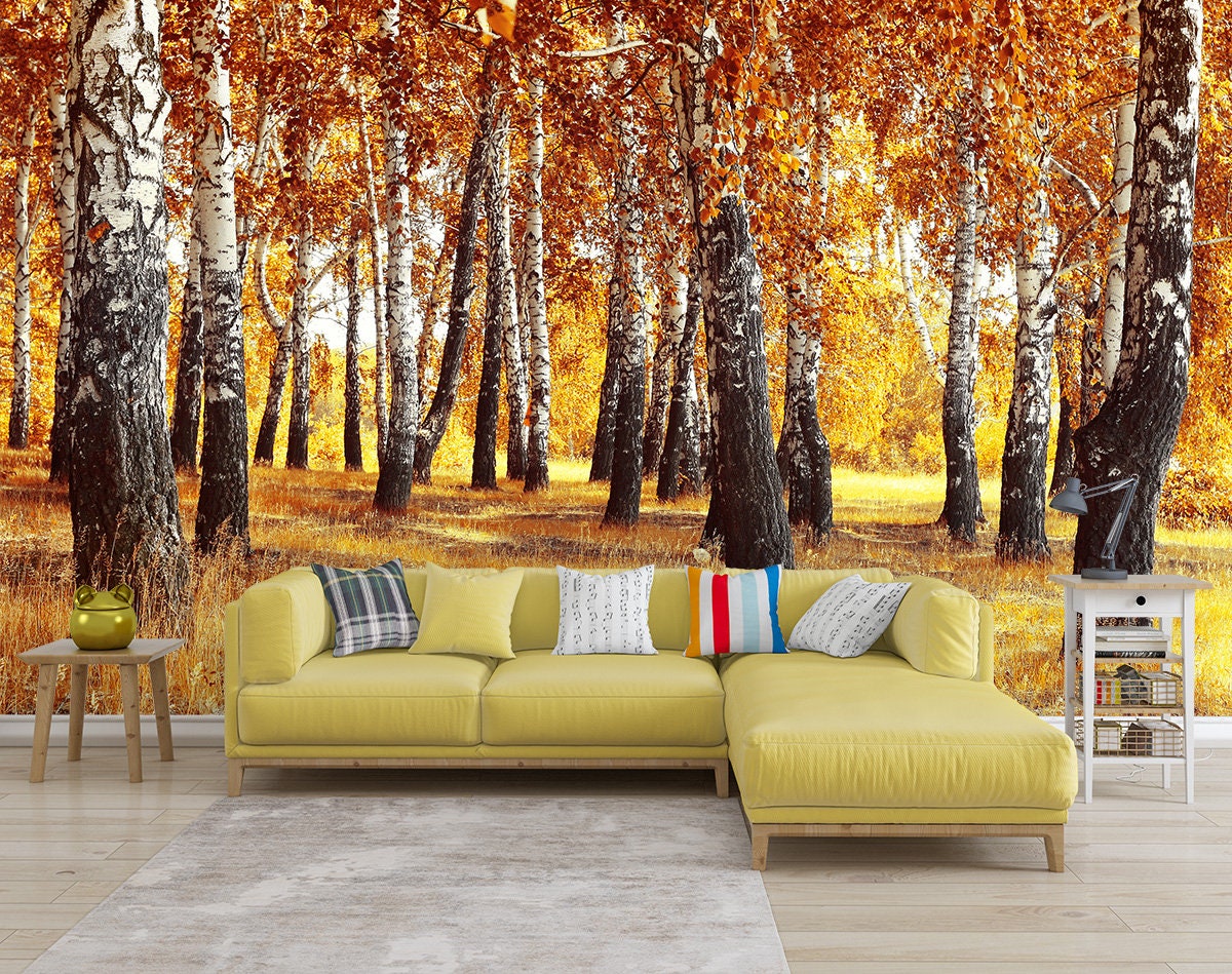 Autumn Birch Forest WALLPAPER MURAL Autumn Forest Wall Mural - Etsy