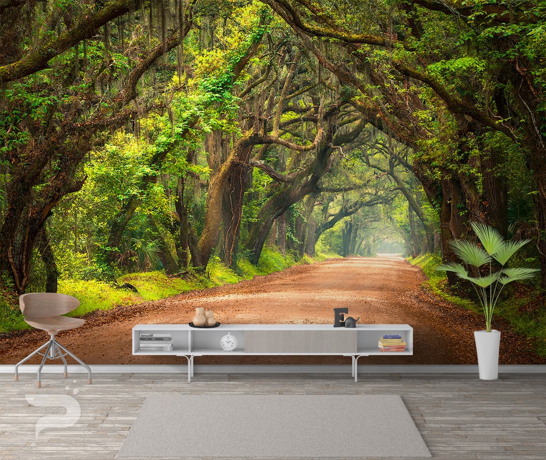 Tree Tunnel MURAL, Forest Wallpaper, Forest Path Wall Mural, Large ...