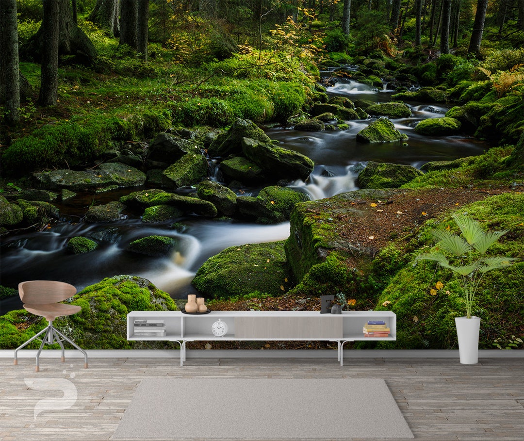 Forest Stream MURAL, Green Forest Wallpaper, Forest Brook Wall Mural ...