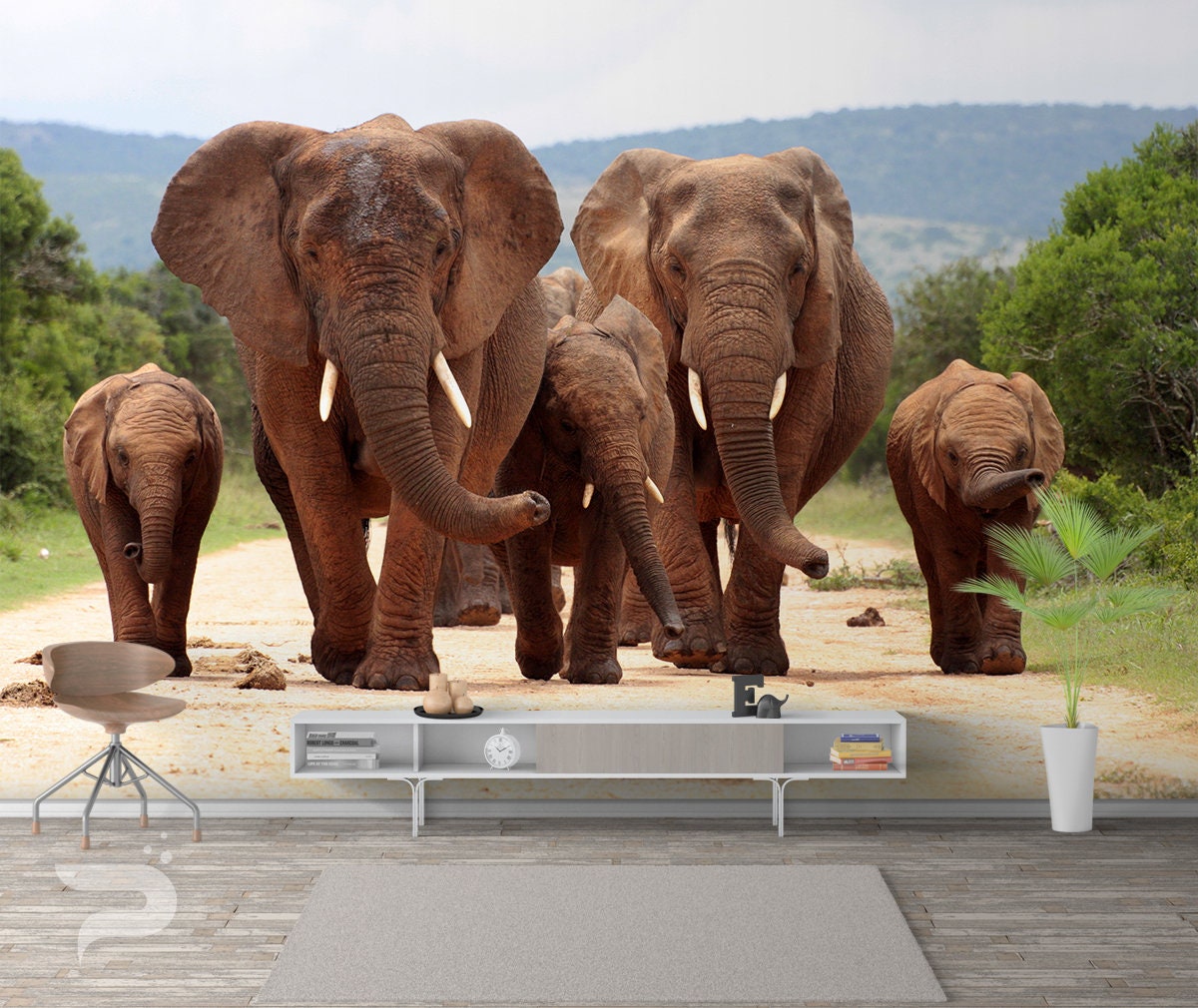 Elephants Family WALL MURAL Africa Wall Covering Elephants - Etsy